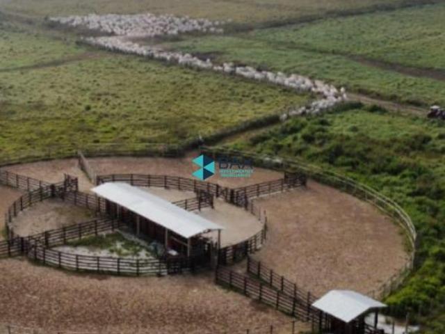 Fazenda ZONA NOESTE DE SJCAMPOS