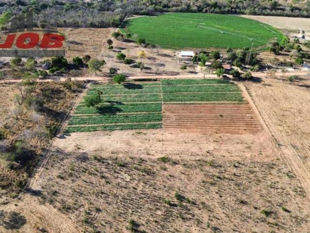 Fazenda, Zona Rural, Alvorada do Norte, GO
