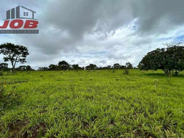 Fazenda, Zona Rural, Buritis, MG