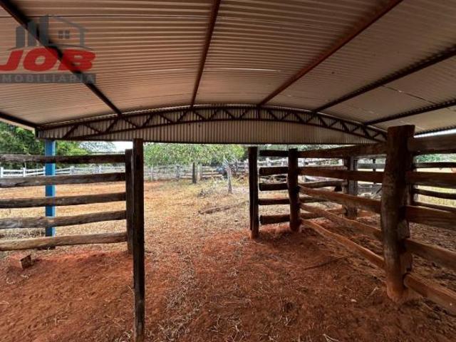 Fazenda, Zona Rural, Buritis, MG