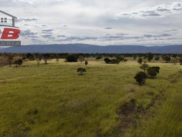 Fazenda, Zona Rural, São João D&apos aliança, GO