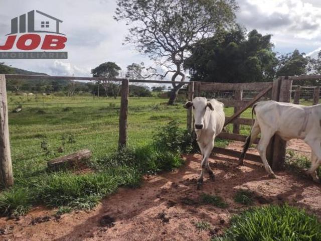 Fazenda, Zona Rural, Taguatinga, DF