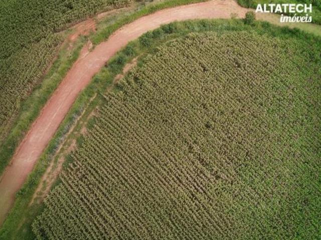Fazenda 48,4 ha à venda em Roseira, Bandeira do Sul