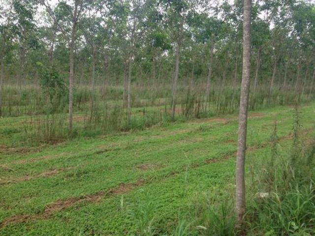 Fazenda