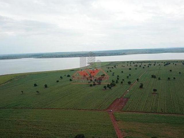 Fazenda 140 Alqueires Arrendada para Usina São Martinho GO