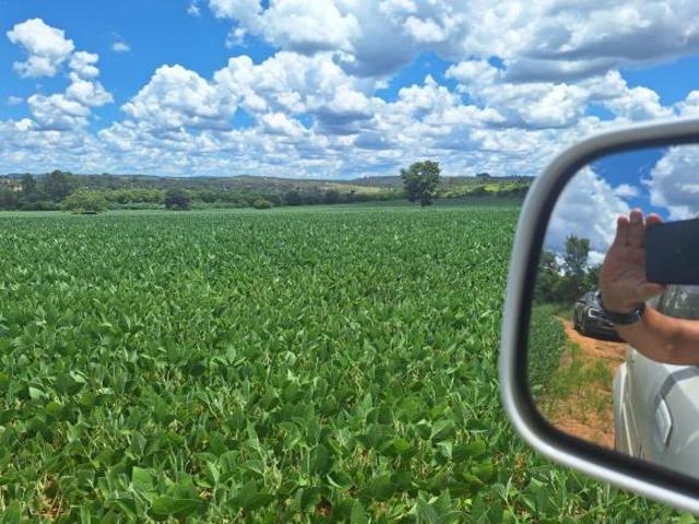Fazenda 140 Alqueires para Venda em Alexânia Goiás