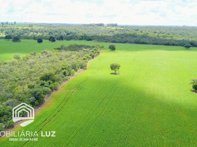 FAZENDA 141 Alqueires 685 ha DUPLA APTIDÃO PORTEIRA FECHADA
