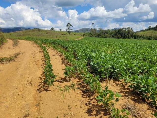 Fazenda 142,78 ha à venda em Área Rural, Caldas