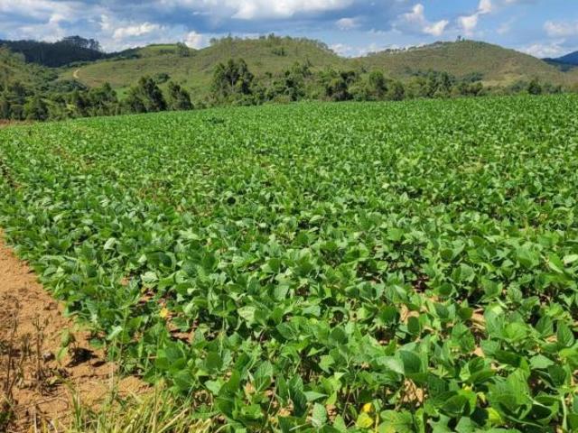 Fazenda 142,78 ha à venda em Área Rural, Caldas