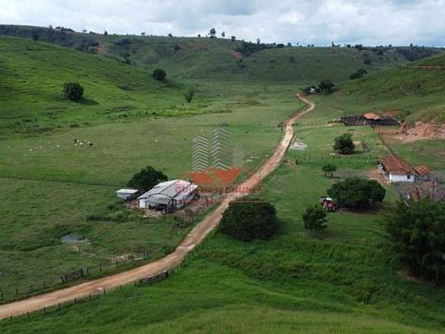 Fazenda 147 Alq em Pescador MG | Pecuária e Rica em Água