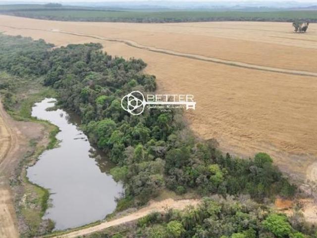 Fazenda