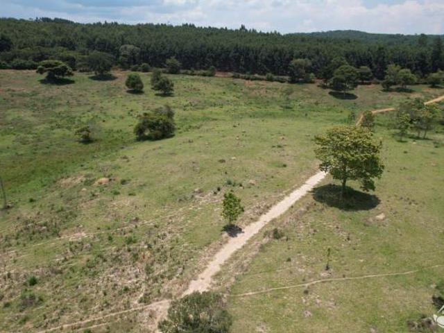 Fazenda