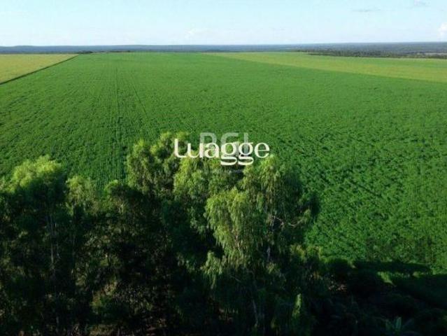 Fazenda
