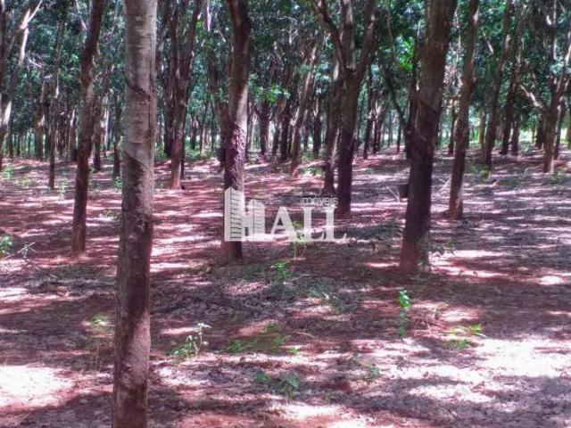Fazenda