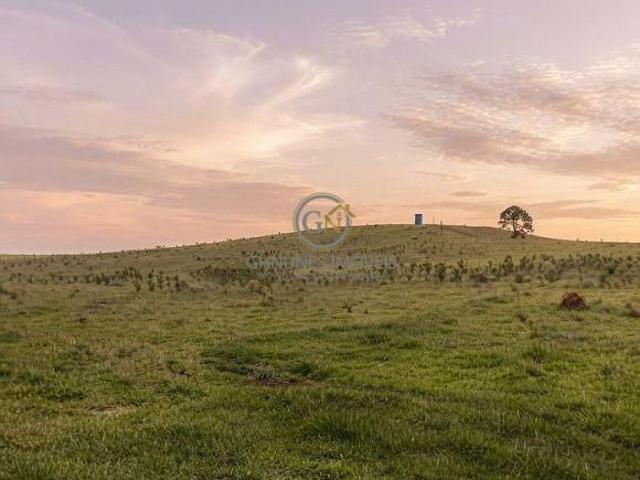 Fazenda 153 ha à Venda em Conceição do Rio Verde MG