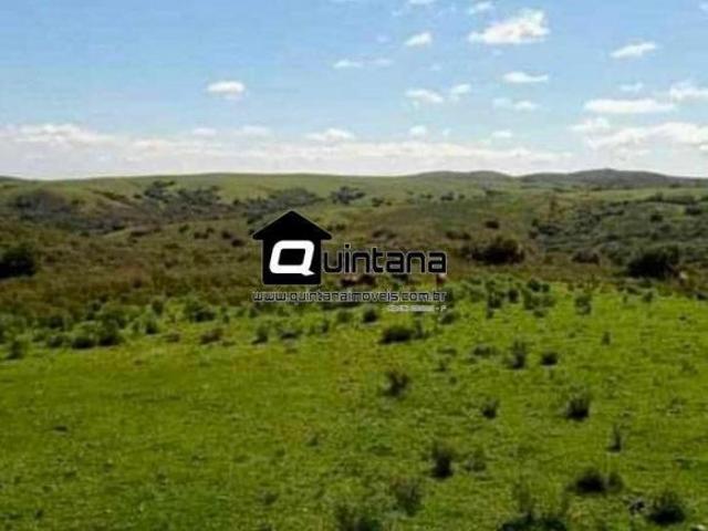 FAZENDA 1500 HECTARES EM PINHEIRO MACHADO