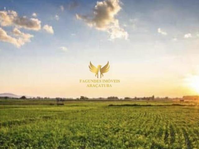 FAZENDA 150 ALQUEIRES NA REGIÃO DE FLORA RICA