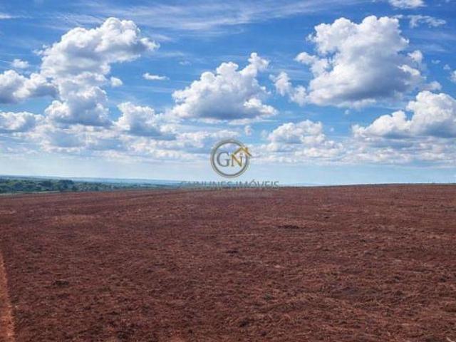 Fazenda 150 Alq em Herculândia PR | Plantio e Rio Ivaí