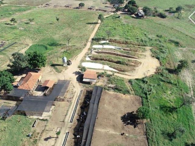 Fazenda 150 hectares estruturada pra gado de leite. Margem do Rio das velhas