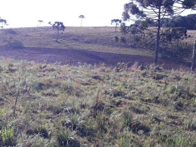 Fazenda