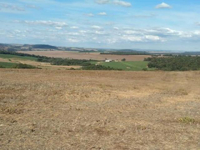 Fazenda 152 Alqueires, Boa de Água com Riachos e Poços Naturais, 110 Alqueires em Área Plantada, 12