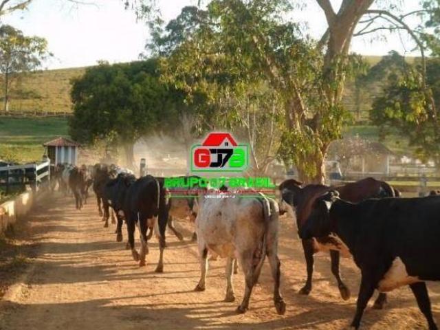 Fazenda