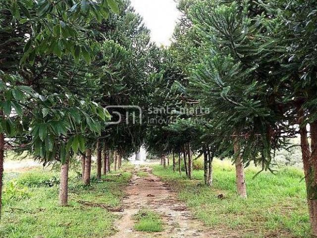 Fazenda