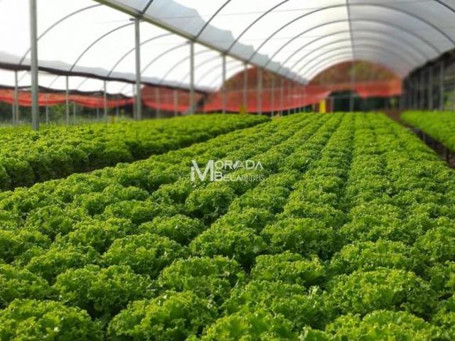 Fazenda