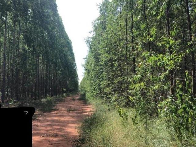Fazenda