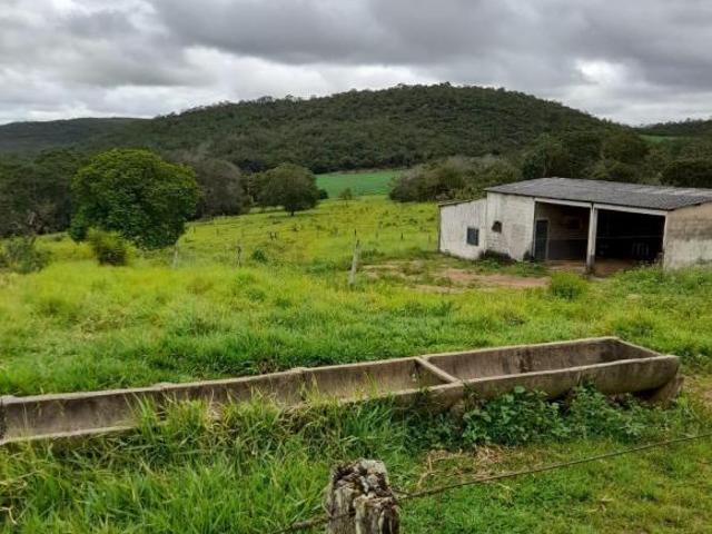 Fazenda