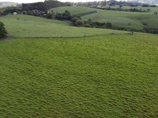 Fazenda 160 Alqueires, Rica em Água com Açudes e Ribeirão, Formada em Pasto, Topografia Caída, Casas