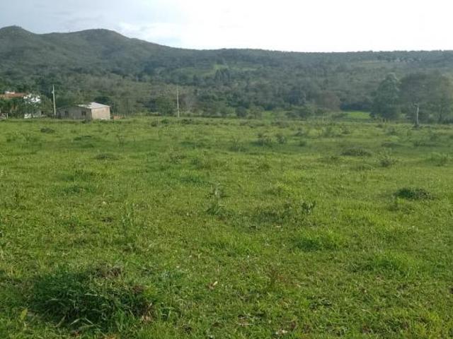 Fazenda 160 hectares Gouveia MG
