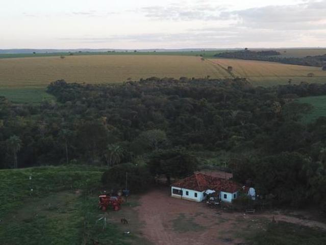 Fazenda 161 Alqueires, 12 Kms de Estrada de Chão, 105 Alqueires Plantado e Falta 35 Alqueires pra Pl