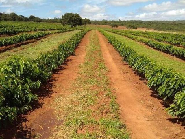 Fazenda