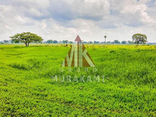 Fazenda