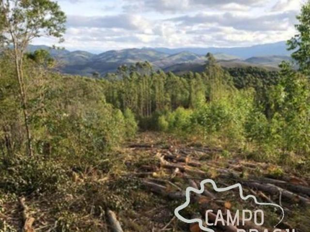 FAZENDA 165 HECTARES EM CARVALHOS COM POTENCIAL TURÍSTICO E CARVOEIRO!