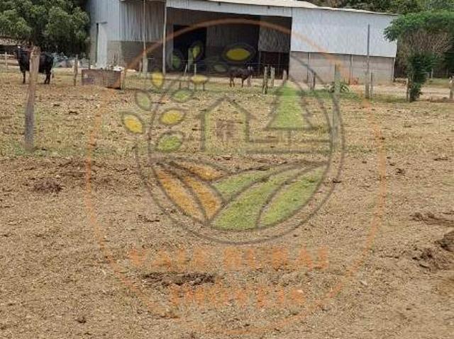 Fazenda