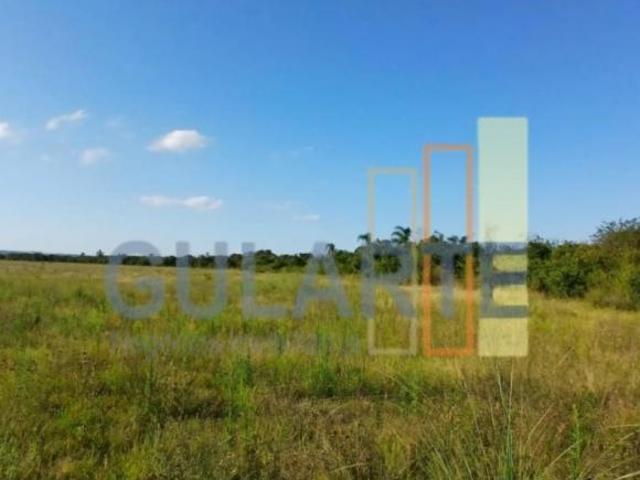 Fazenda