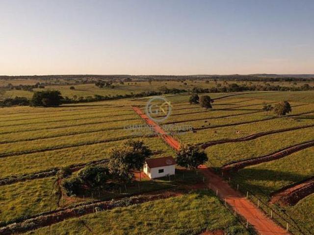 Fazenda 16,5 Alqueires em Santa Vitória MG | Terra Plana