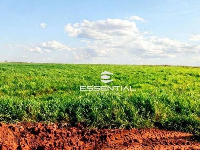 Fazenda