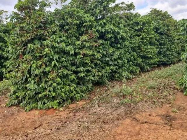 Fazenda 177 há em São Gonçalo de Sapucaí/MG