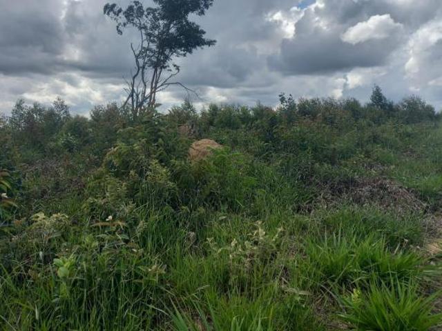 Fazenda