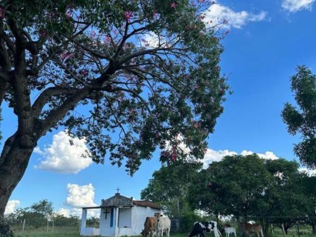 Fazenda