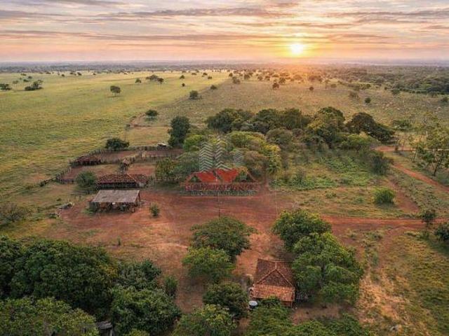 Fazenda 176 Alq. em Novo Planalto GO | Dupla Aptidão Soja