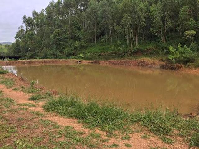 Fazenda