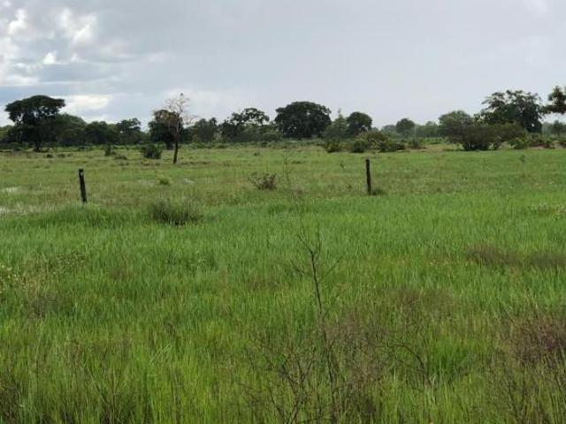 Fazenda