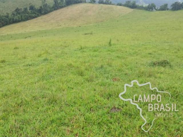 FAZENDA 178 HECTARES NO SUL DE MINAS COM POTENCIAL PARA CULTURA A 4 KM DO ASFALTO!