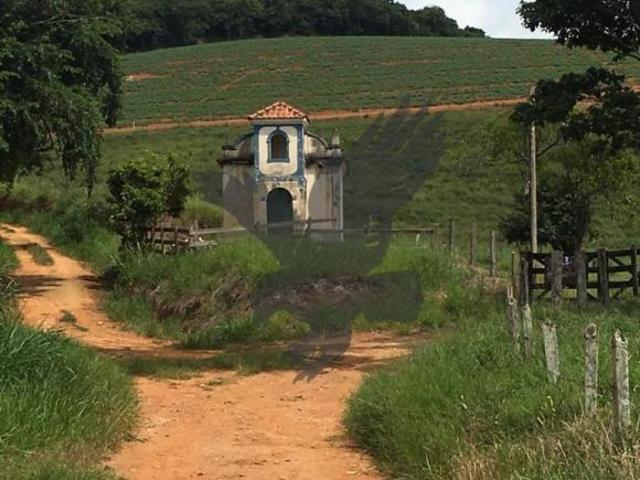 Fazenda 180 hectares em Socorro para exploração agrícola ou pecuária!