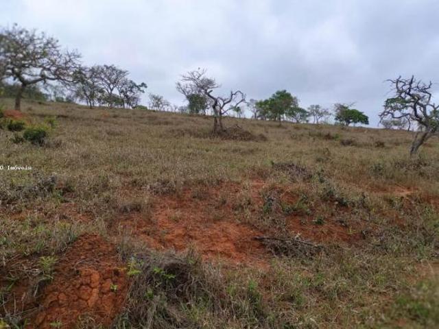Fazenda