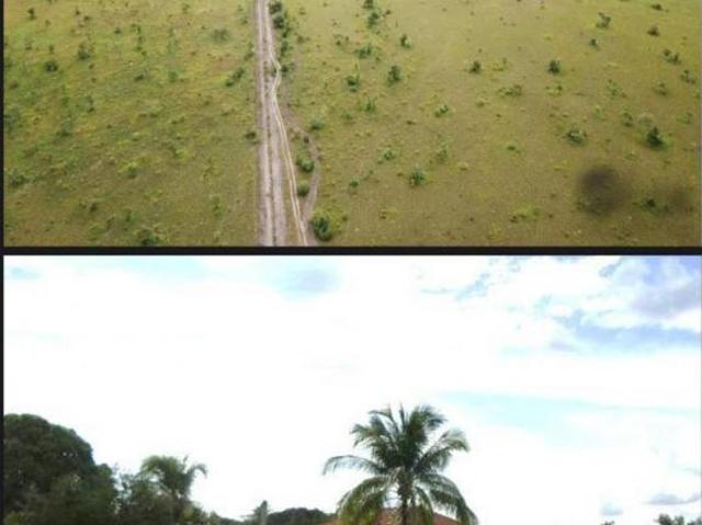 Fazenda